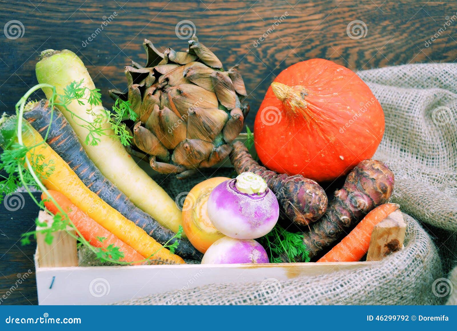 Different Types of Vegetables Stock Photo - Image of autumn, abstract ...