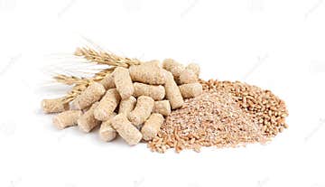 Different Types of Wheat Bran on White Background Stock Image - Image ...