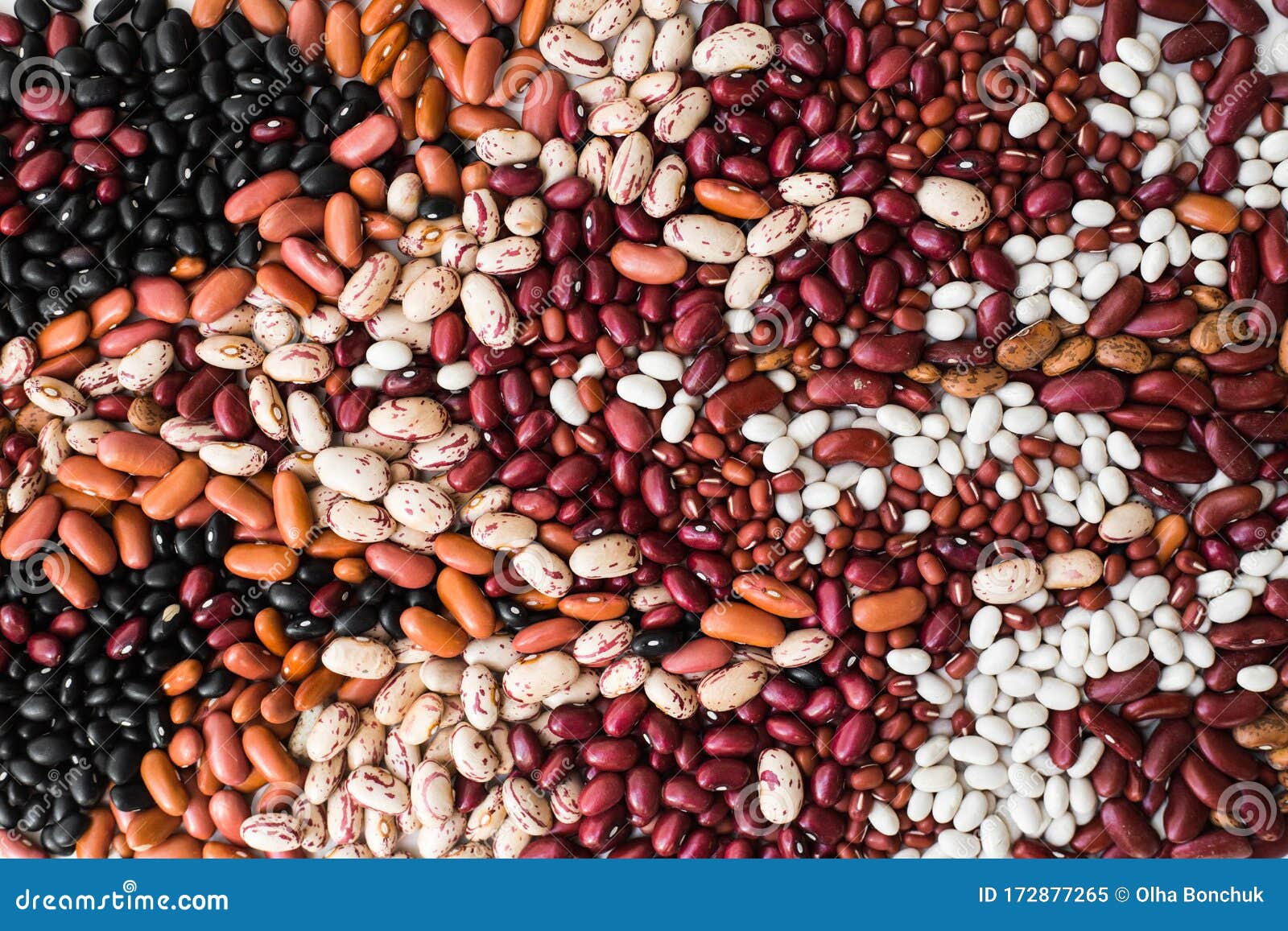 Different Varieties of Bean Seeds. Beans Background Stock Image - Image ...