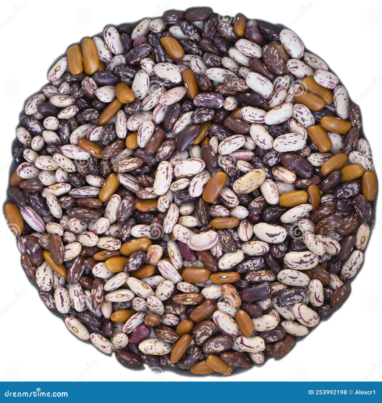 Different Varieties of Beans in a Circle Stock Photo - Image of grain ...