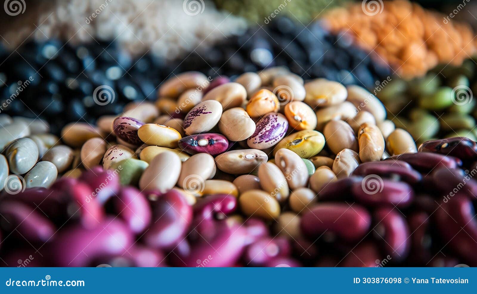 Different Varieties of Beans and Legumes. Selective Focus Stock Photo ...