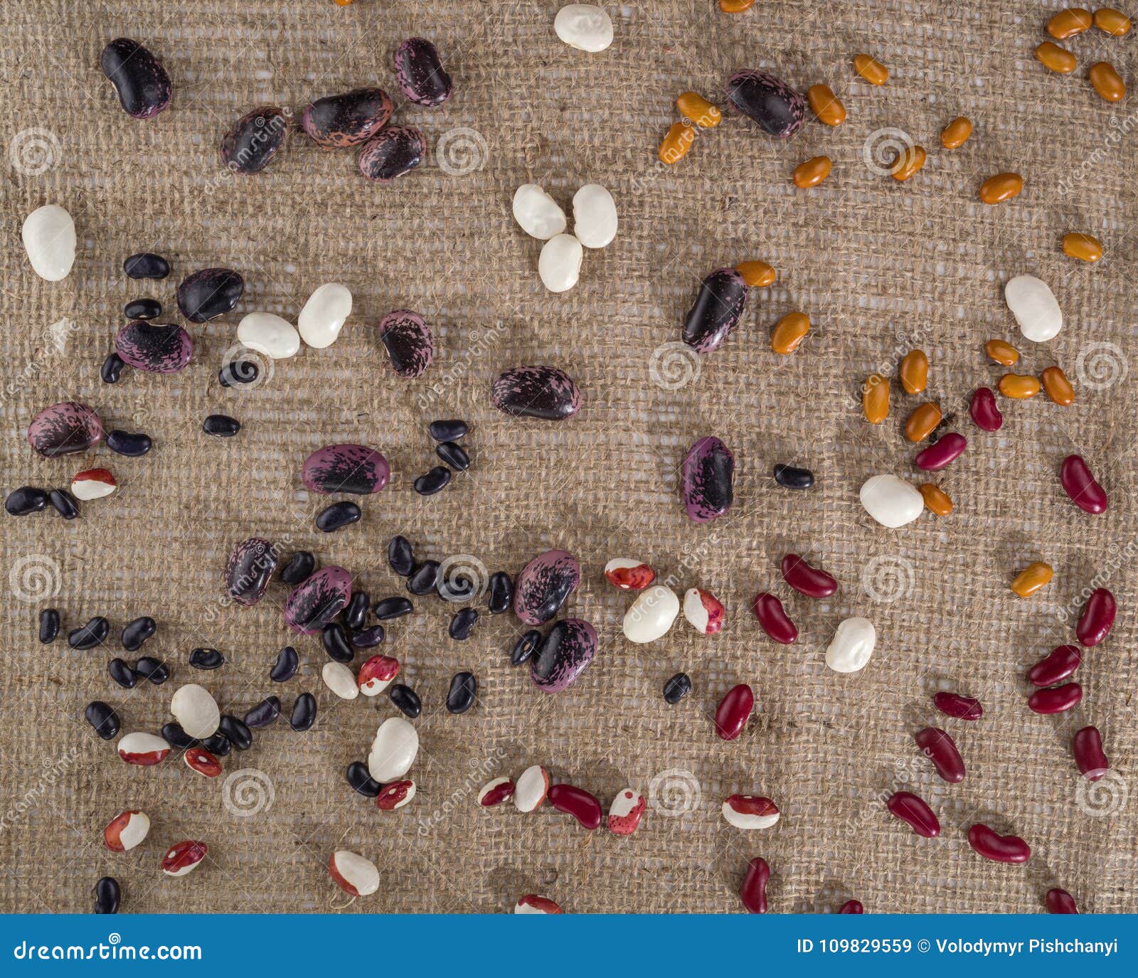 Different Varieties of Beans on the Texture Stock Image - Image of ...