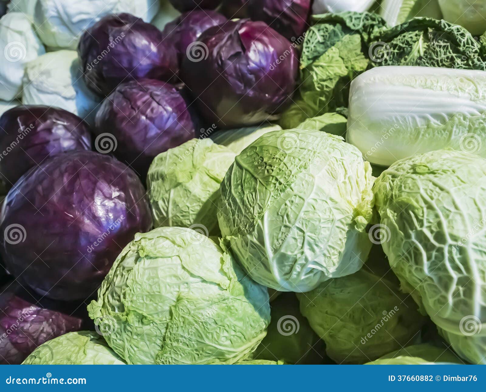 Different Varieties of Cabbage on the Counter Market Stock Photo ...