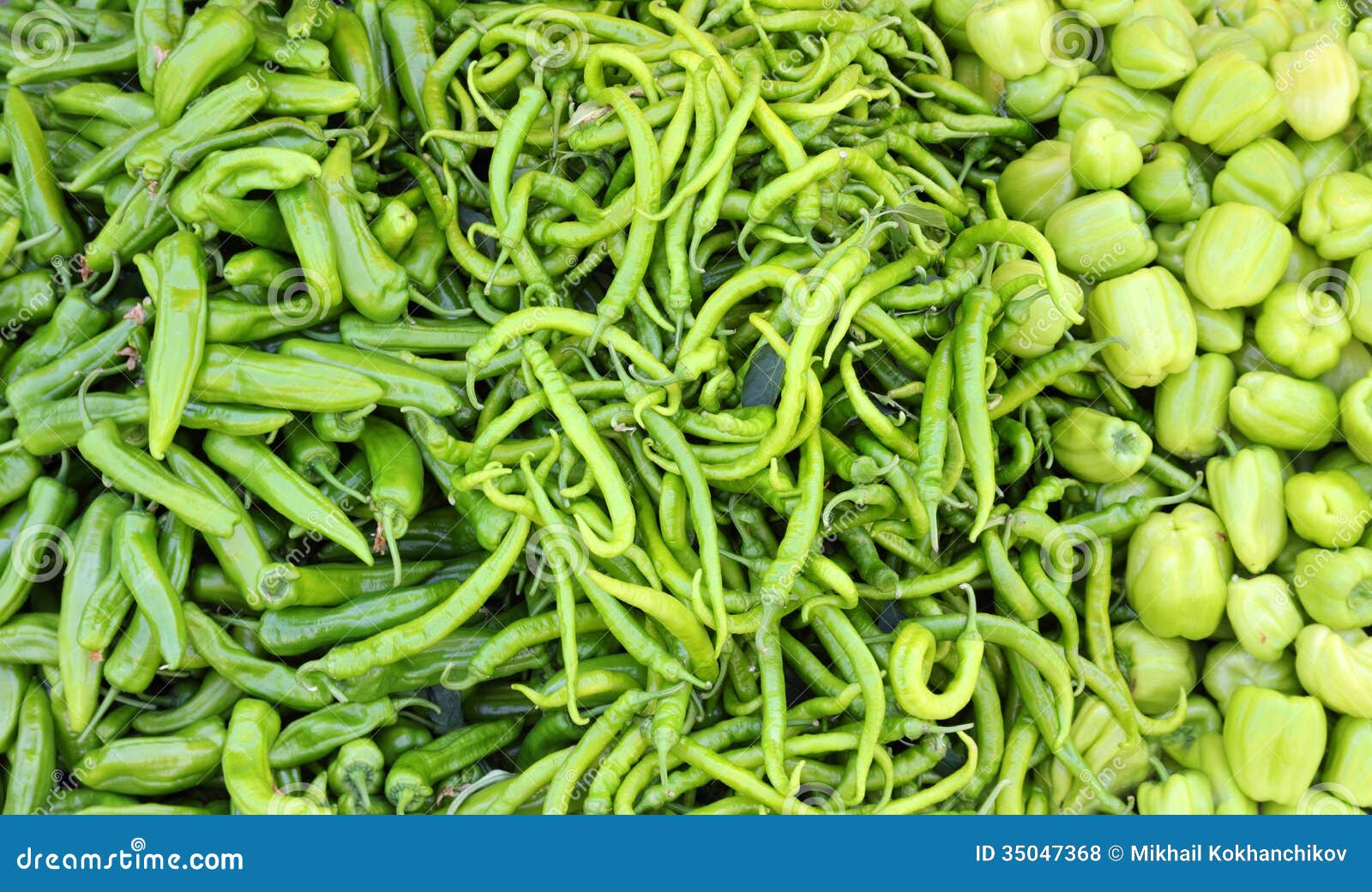Different Varieties of Green Peppers Stock Photo - Image of nutrition ...