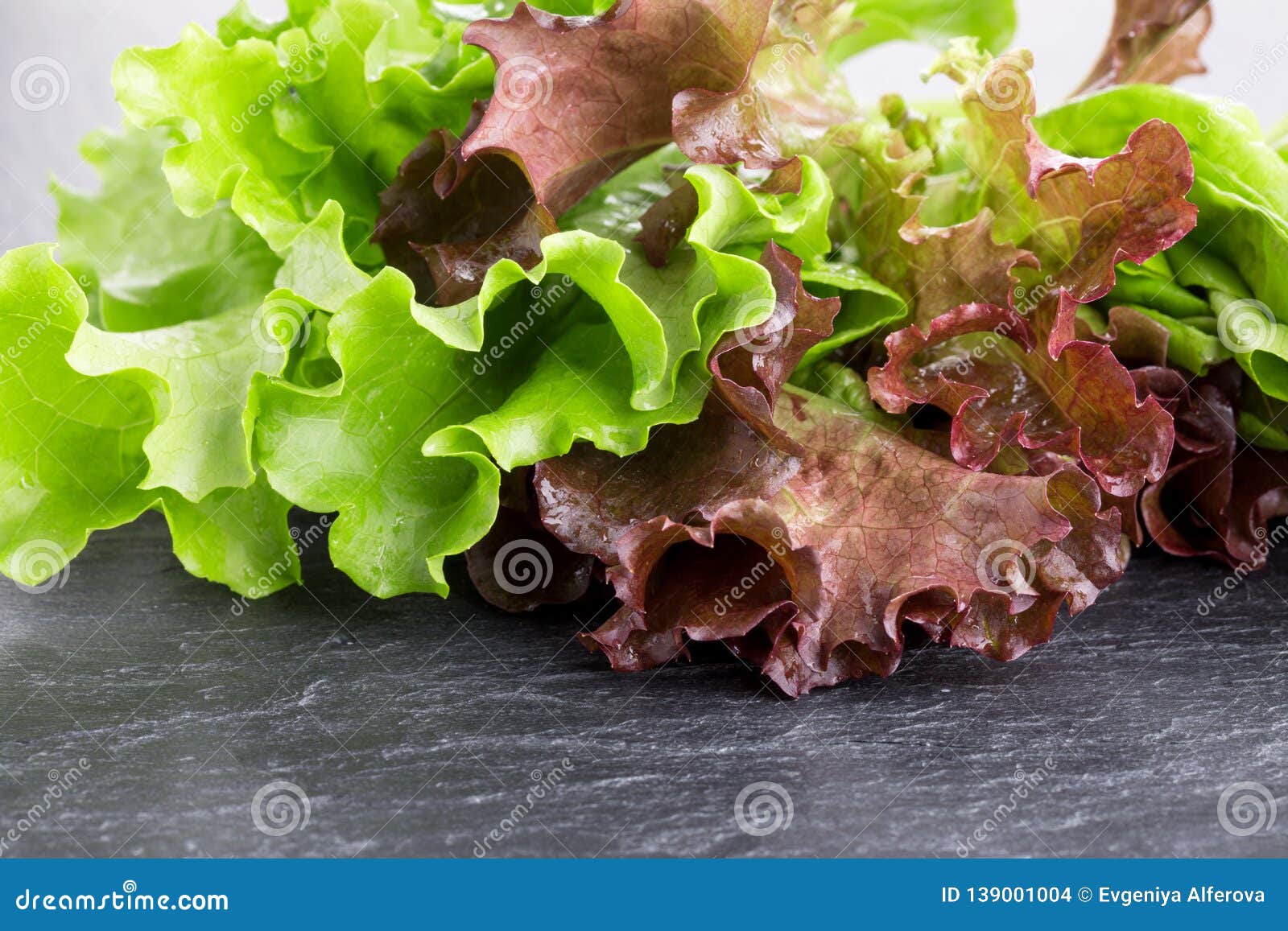 Different Varieties of Lettuce. Stock Photo - Image of heap, black ...