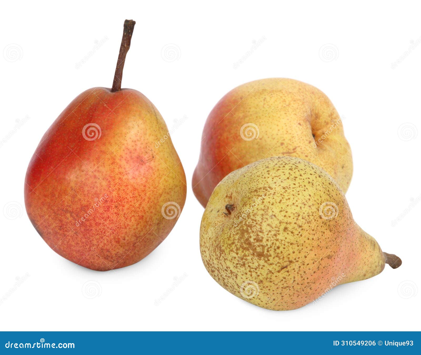 Different Varieties of Pears Stock Photo - Image of pears, food: 310549206