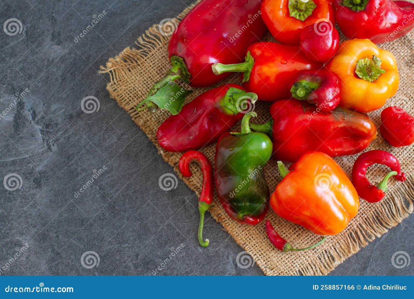 Different Varieties of Peppers Picked from the Garden and Arranged on a ...