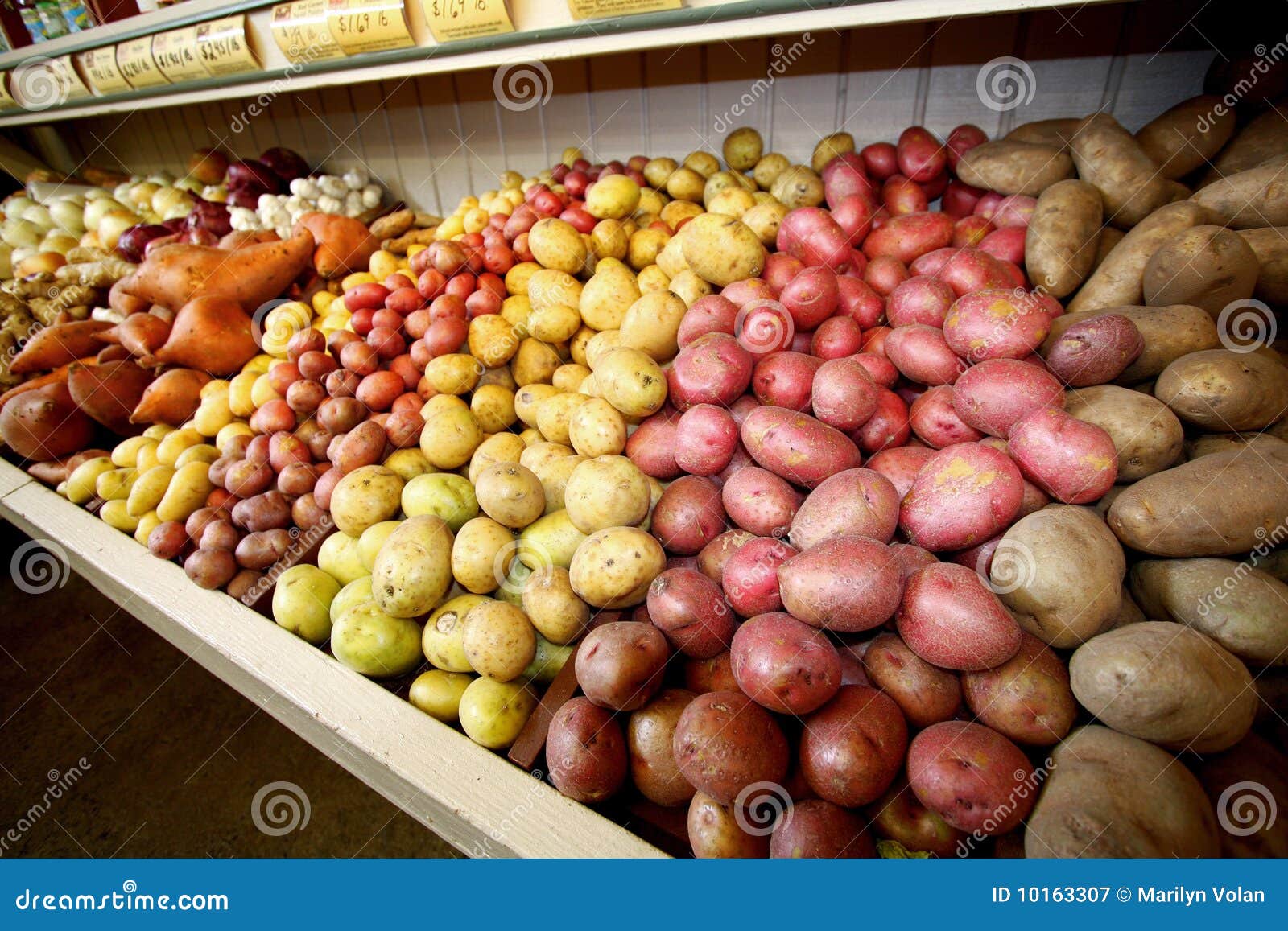 Different Varieties of Potatoes Stock Image - Image of colors, grocery ...
