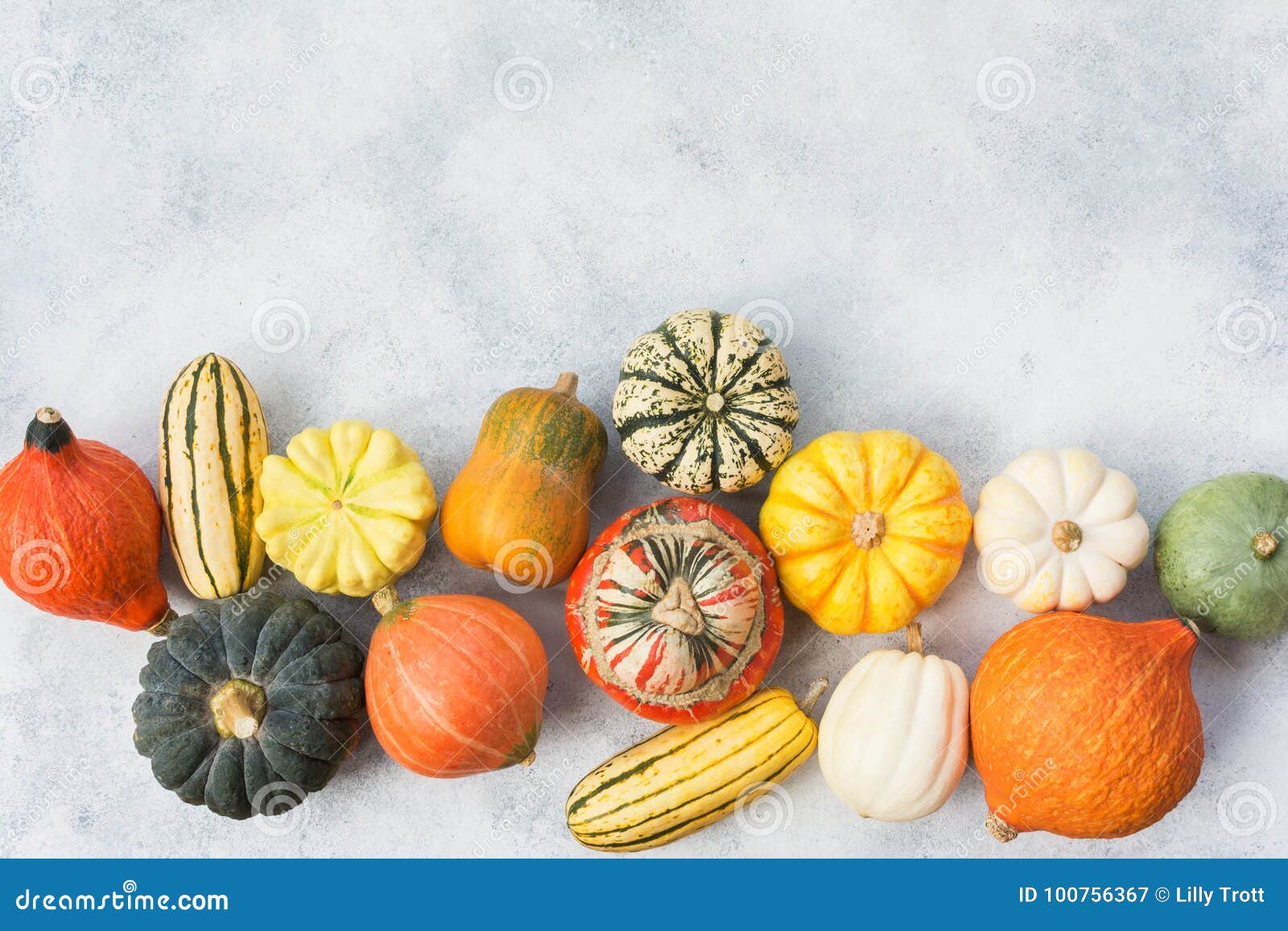 Different Varieties of Pumpkins and Gourds Stock Image - Image of white ...