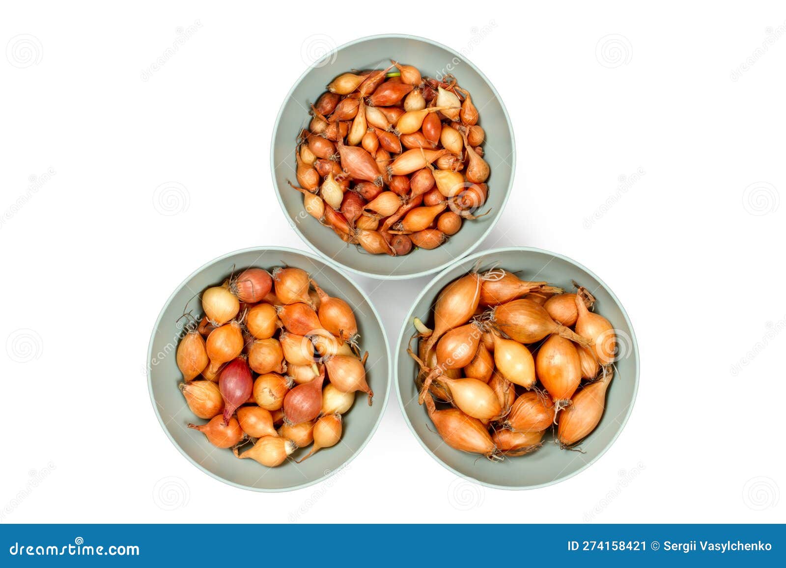 Different Varieties of Small Onions for Planting. Stock Image - Image ...