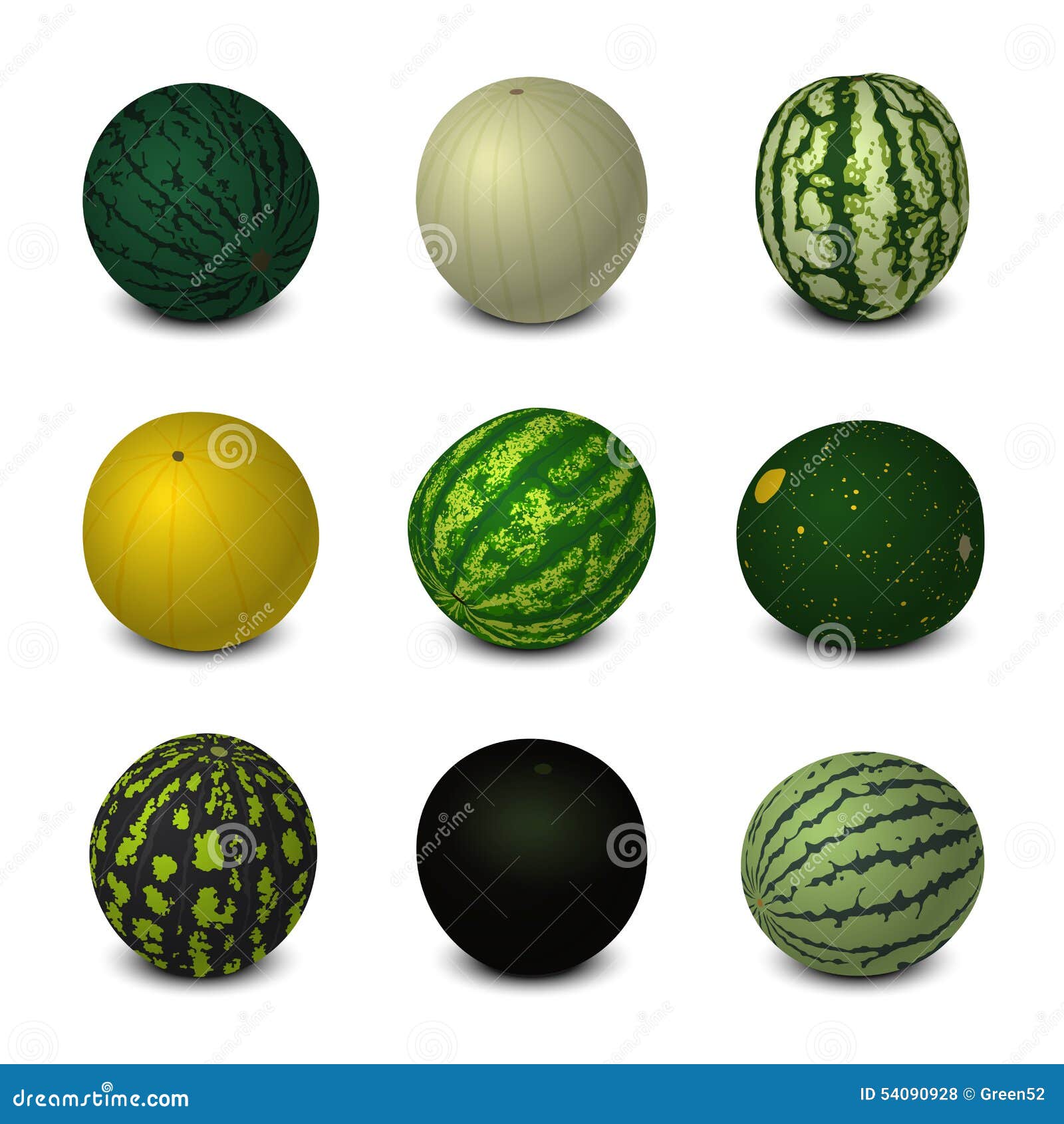 Different Varieties of Watermelons Stock Vector - Illustration of ...