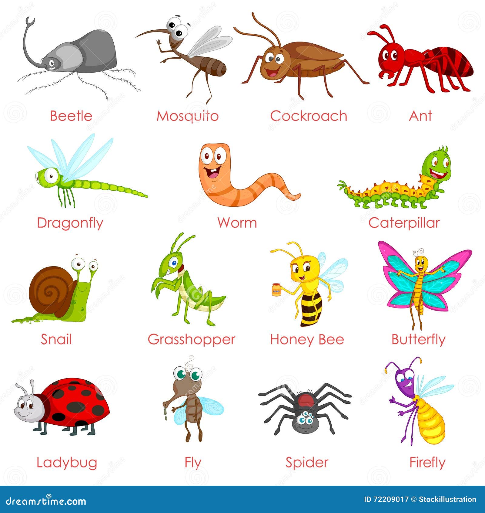 Different Variety of Insects Stock Vector - Illustration of cute ...