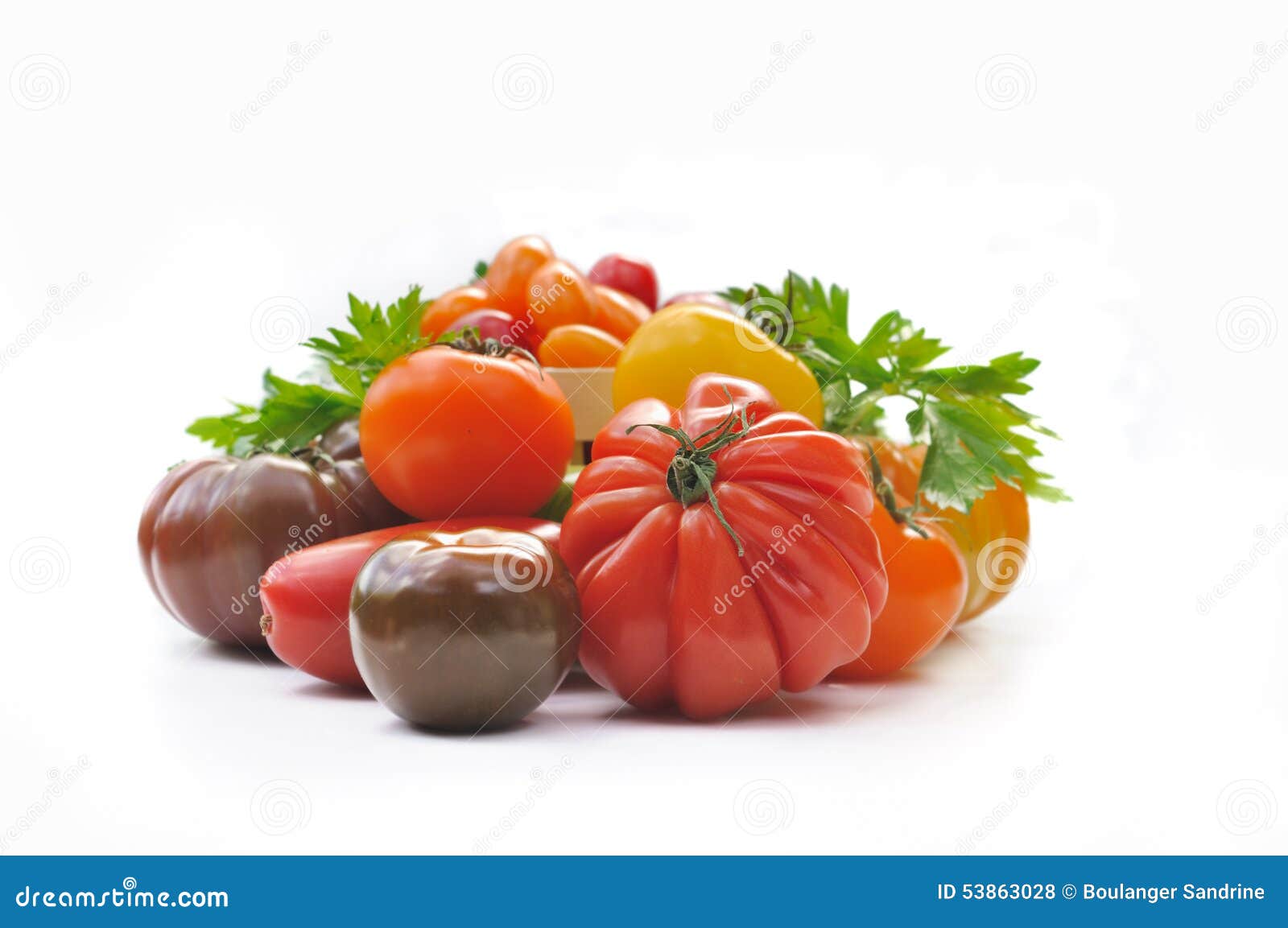 Different Variety of Tomatoes Stock Photo - Image of healthy, ancient ...