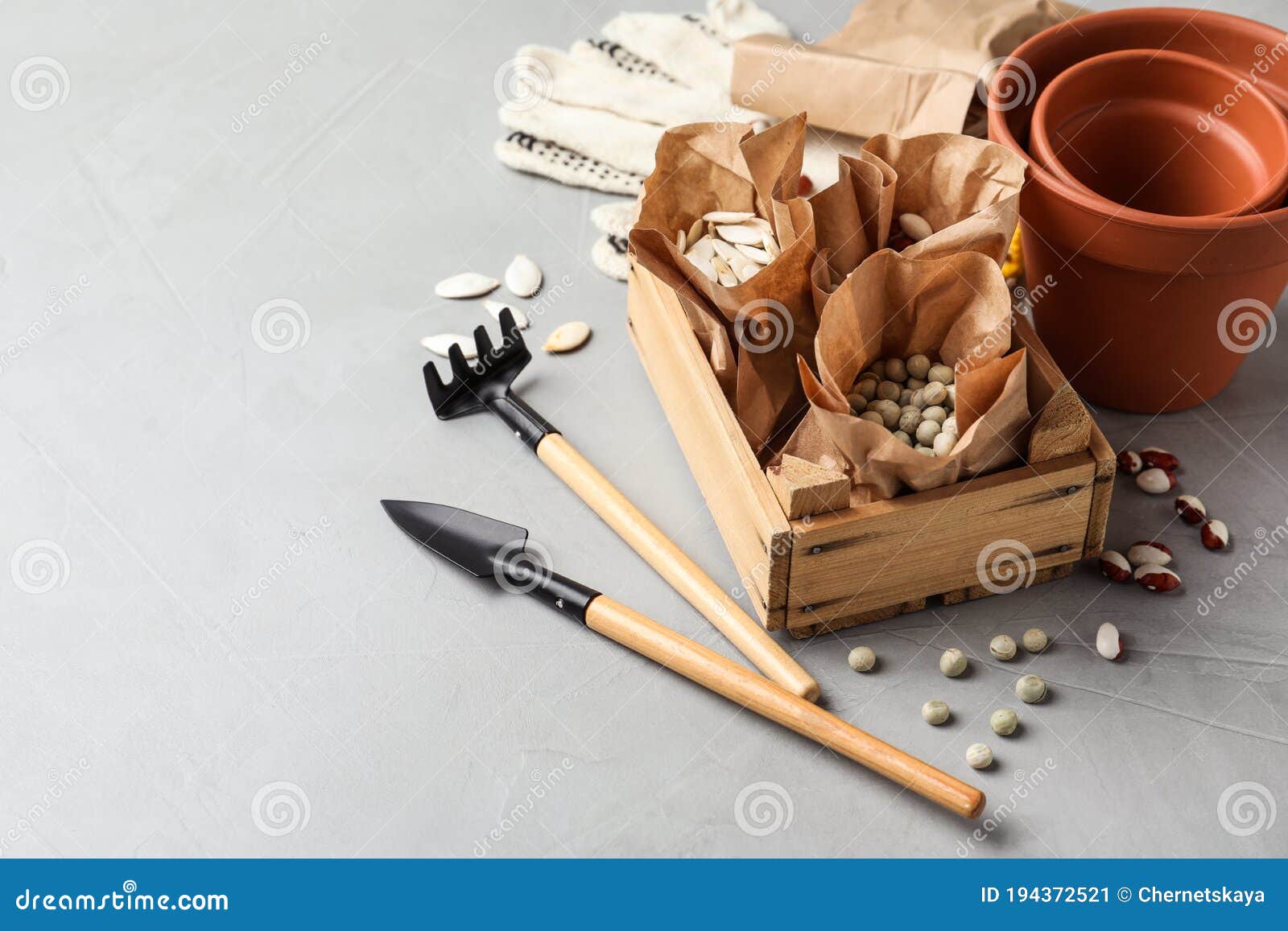 Different Vegetable Seeds and Gardening Tools on Grey Table Stock Image ...