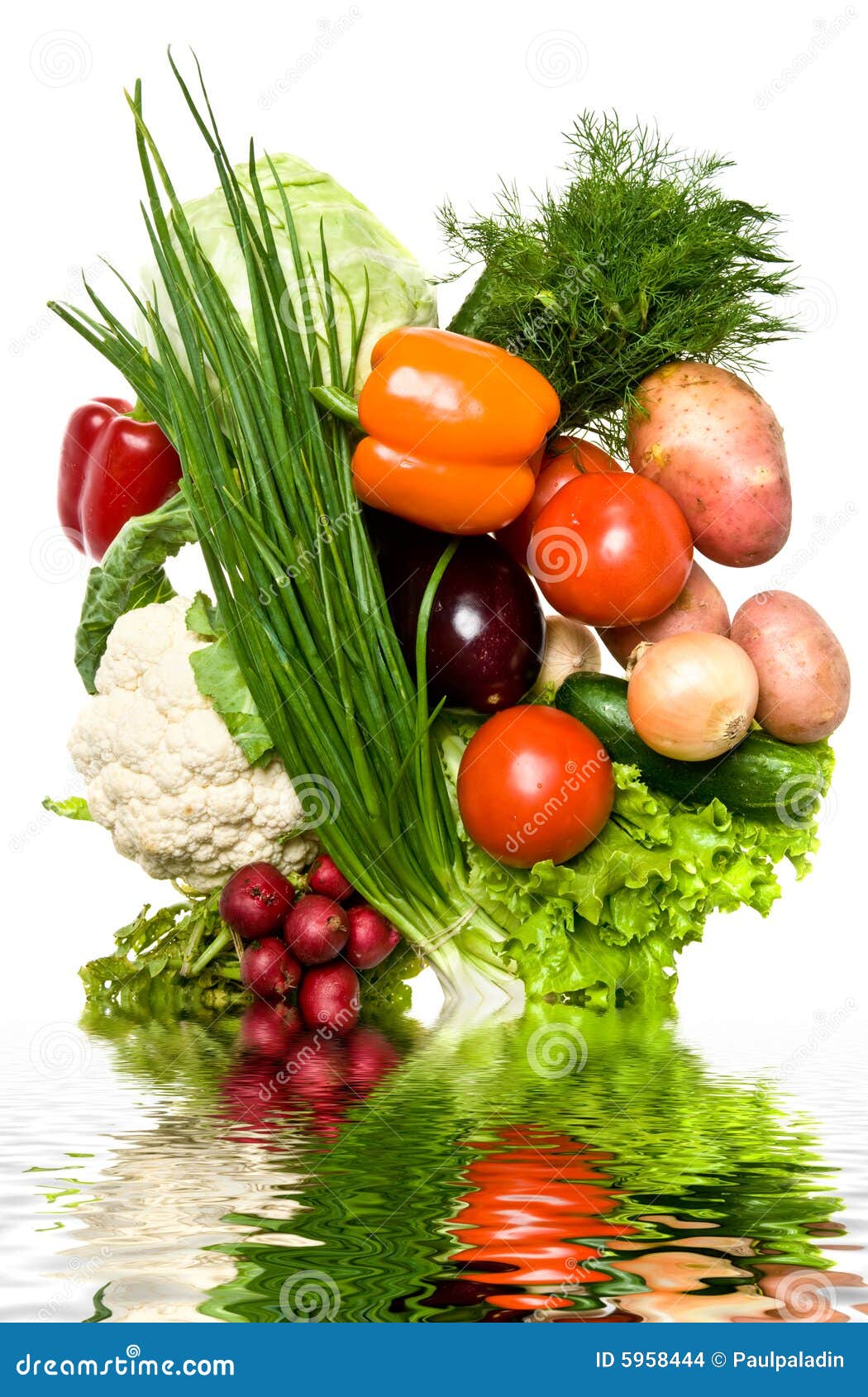 Different vegetables stock photo. Image of natural, fresh - 5958444