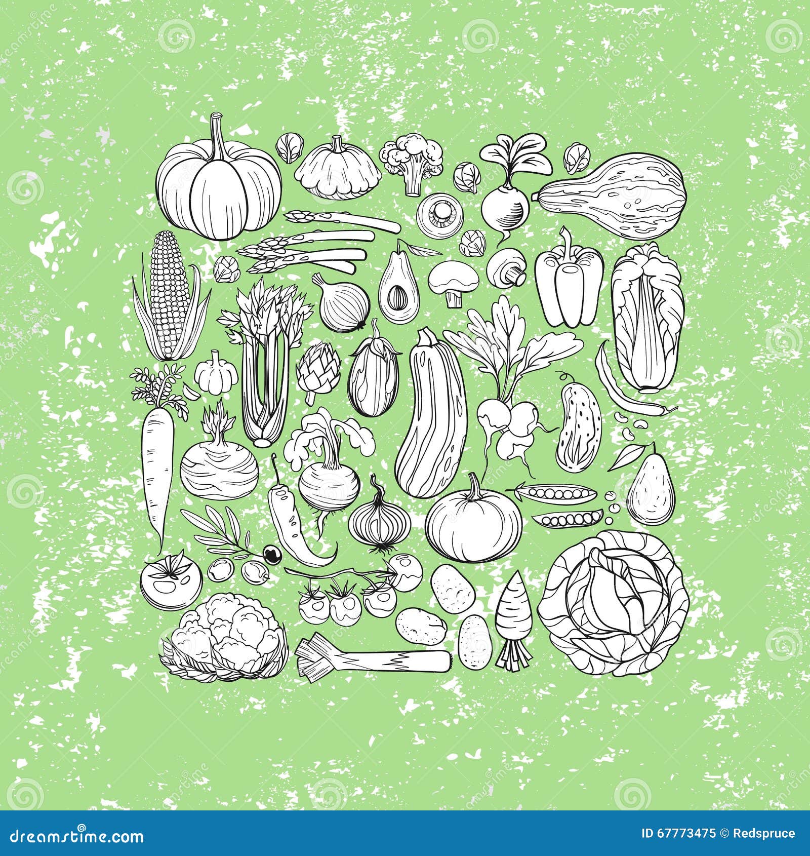 Different Vegetables Drawings Stock Vector - Illustration of asparagus ...