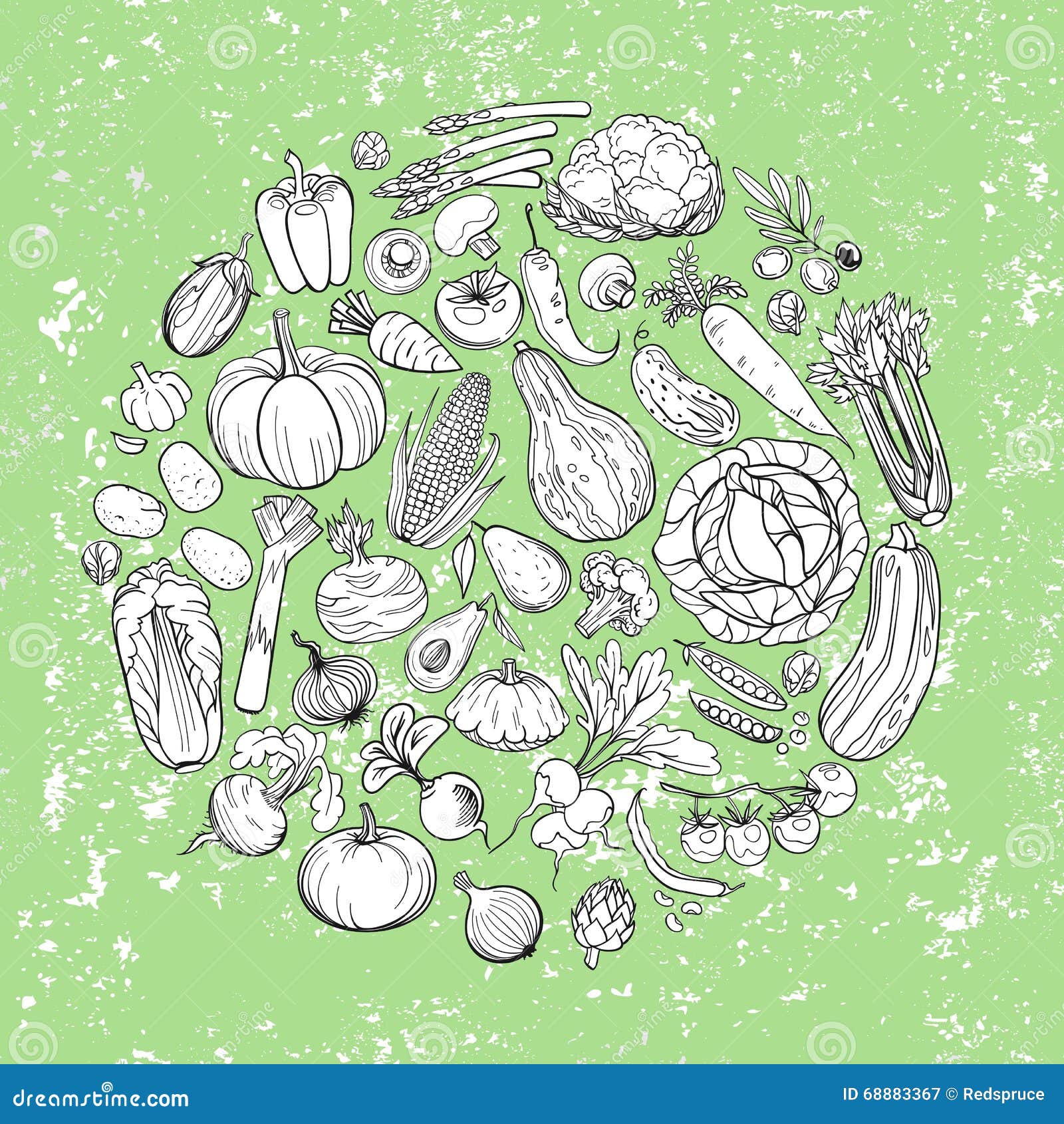 Different Vegetables Drawings Stock Vector - Illustration of cabbage ...