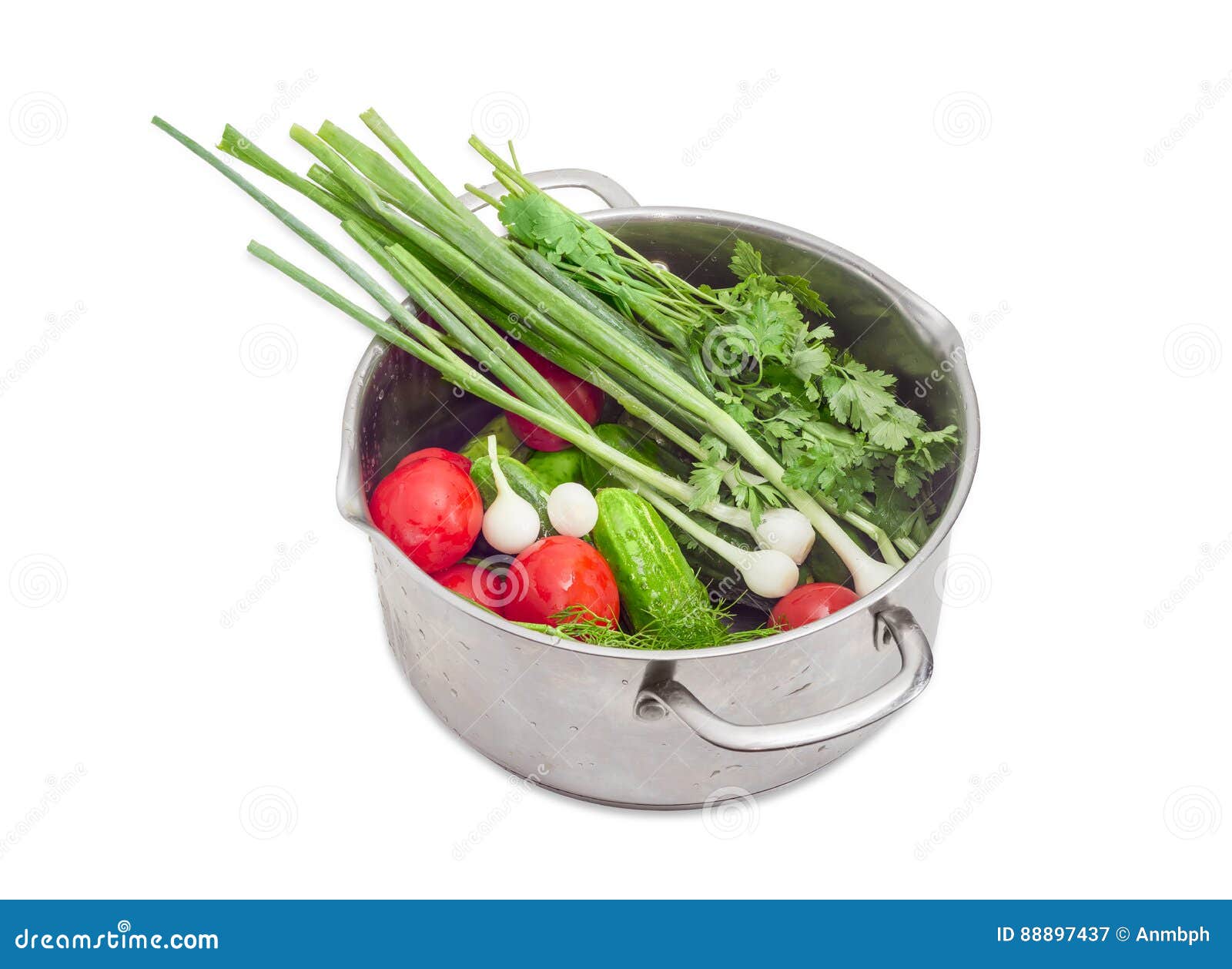Different Vegetables and Potherb in the Stainless Steel Pot Stock Image ...