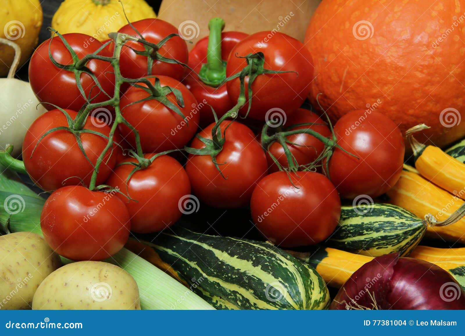 Different vegetables stock photo. Image of fall, diet - 77381004