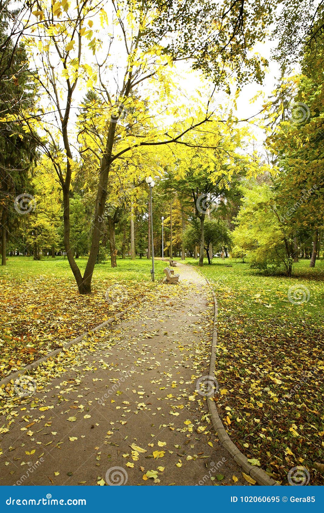 Different Views of Autumn Scenery Stock Image - Image of nature, tree ...