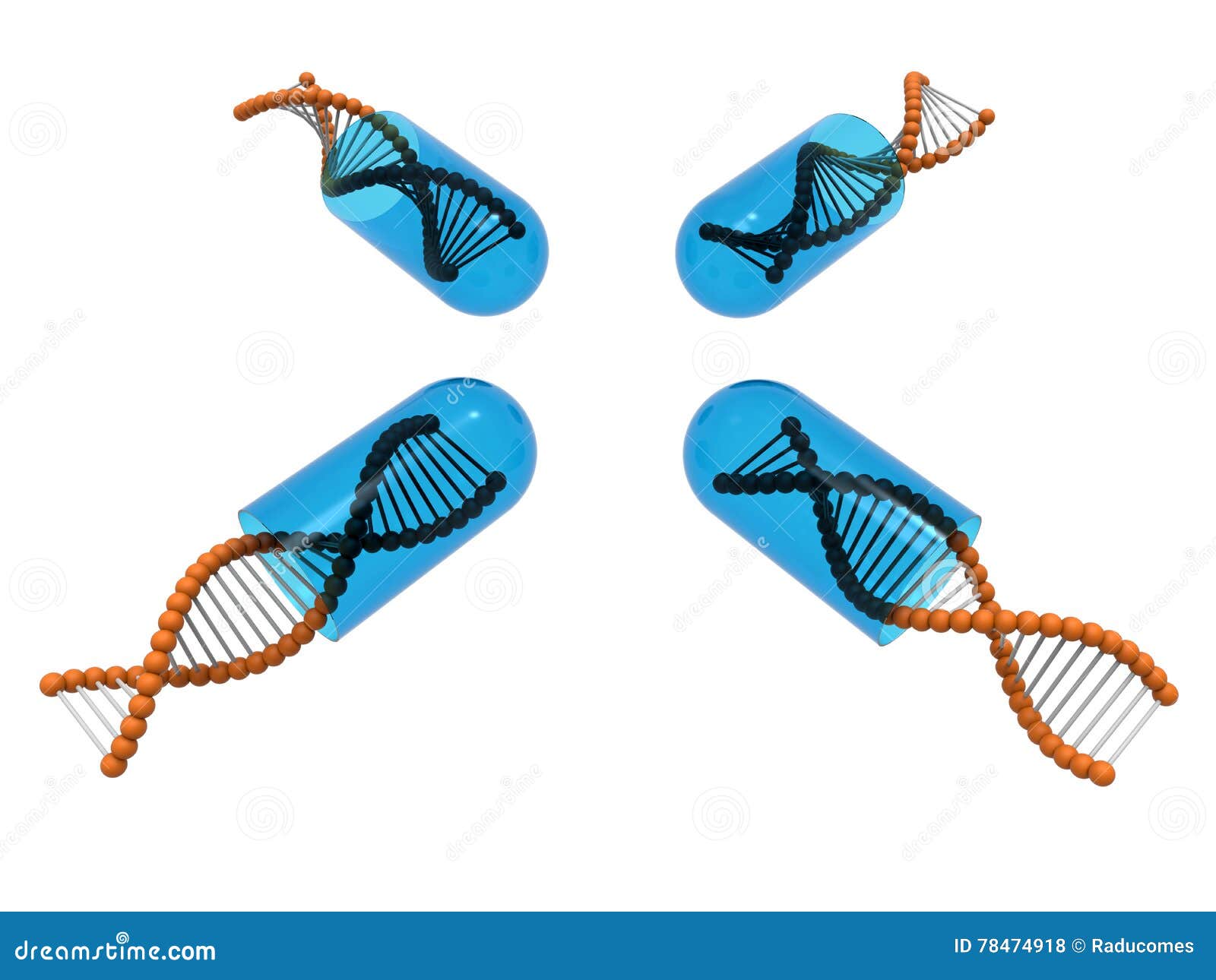For Different Views - DNA Opened Capsules Stock Illustration ...