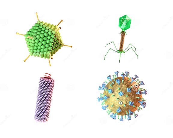 Different virus shapes stock illustration. Illustration of health ...