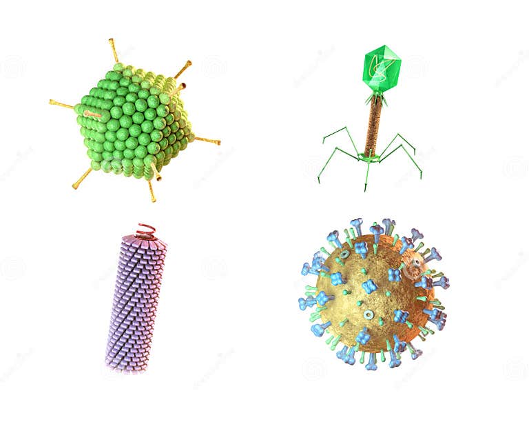 Different virus shapes stock illustration. Illustration of health ...