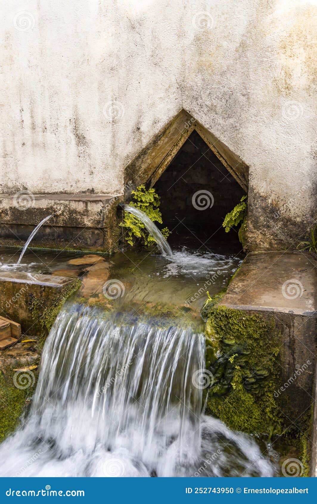 Different Water Flows in a Natural Spring Source Stock Photo - Image of ...