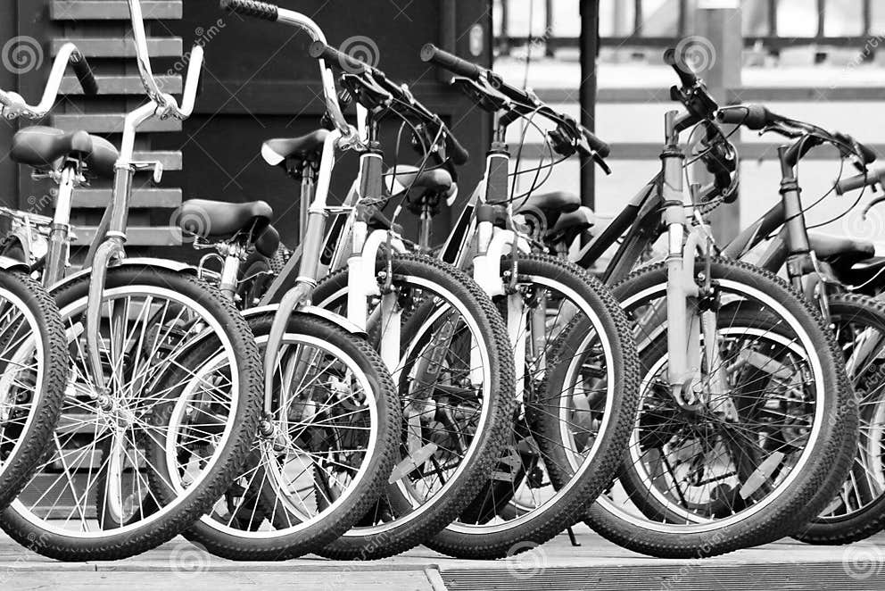 Different Wheels Bicycle so Close Stock Image - Image of conservation ...
