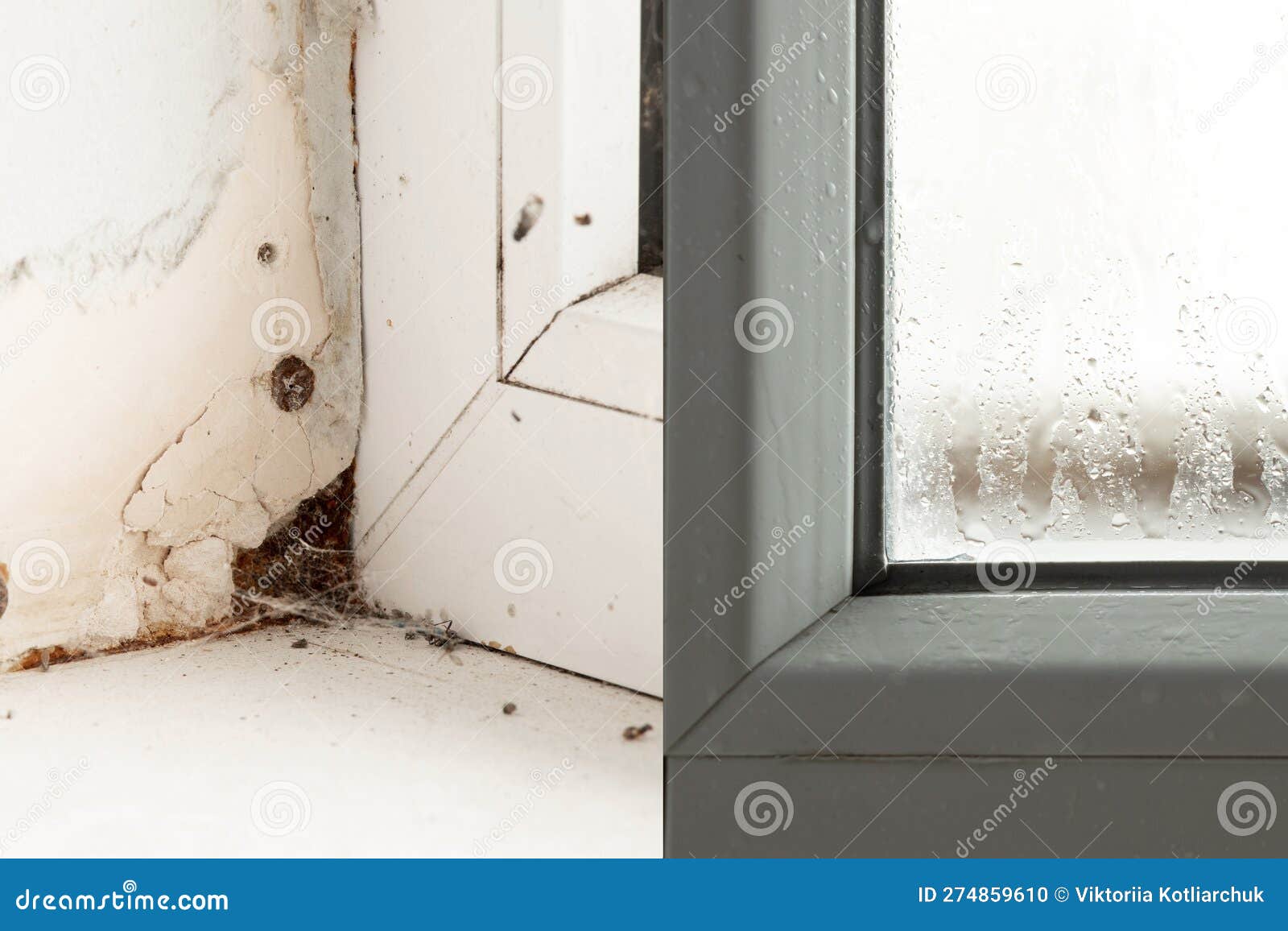 Different Windows with Moisture and Mold and Rust in Apartments, Repair ...