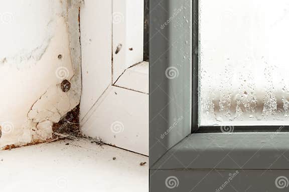Different Windows with Moisture and Mold and Rust in Apartments, Repair ...