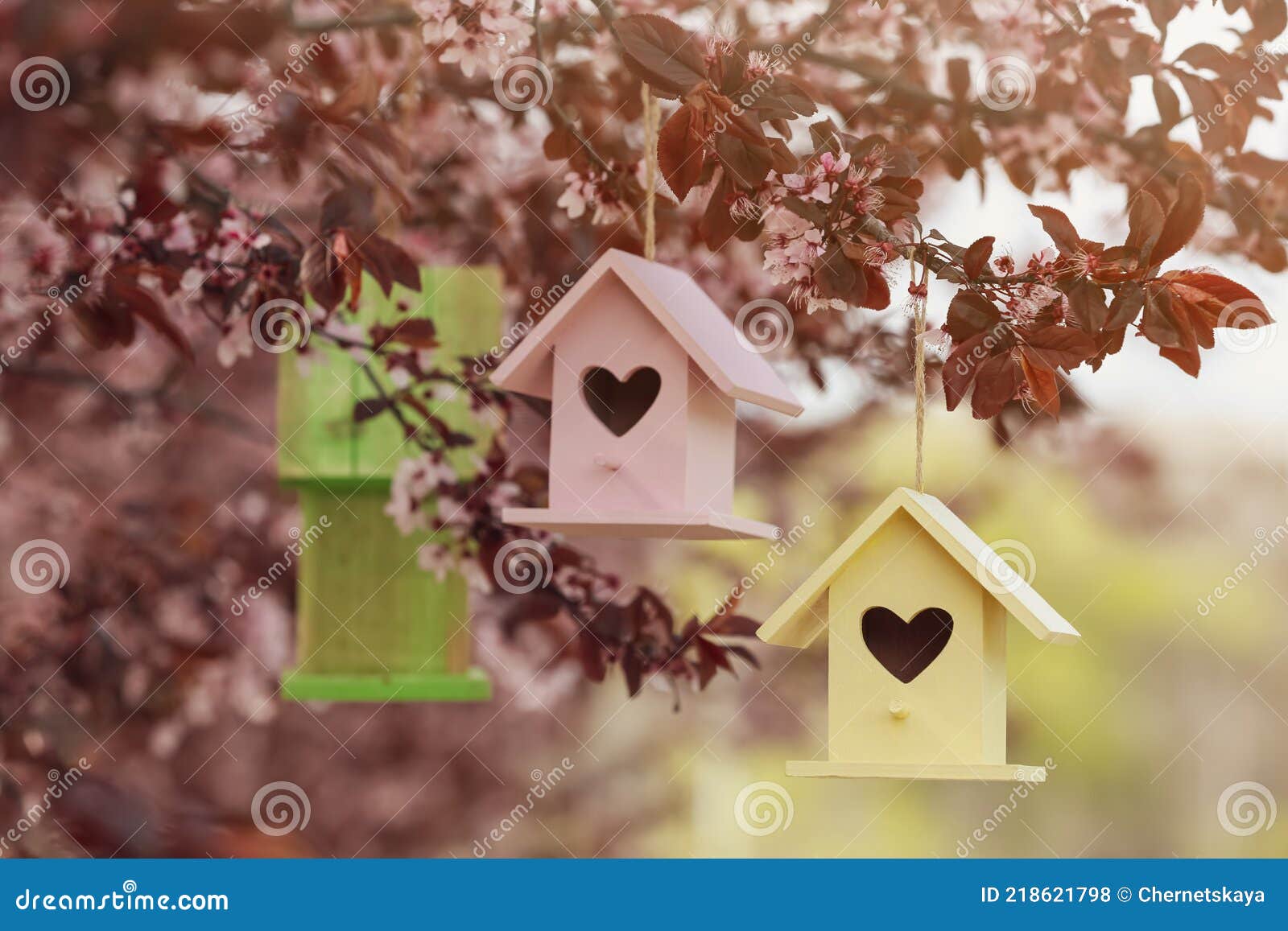 Different Wooden Bird Houses Hanging from Tree Outdoors Stock Photo ...