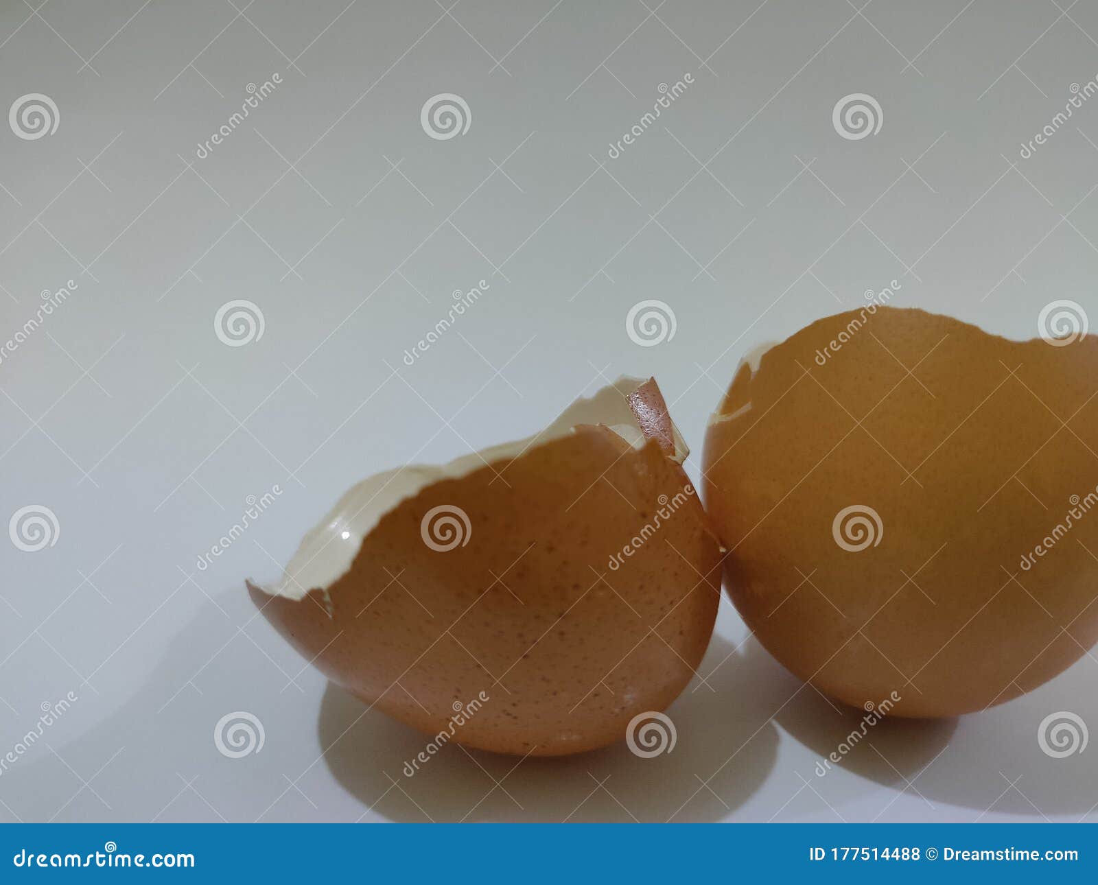 Differrent Texture of Egg Shell Stock Photo - Image of eggs, differrent ...