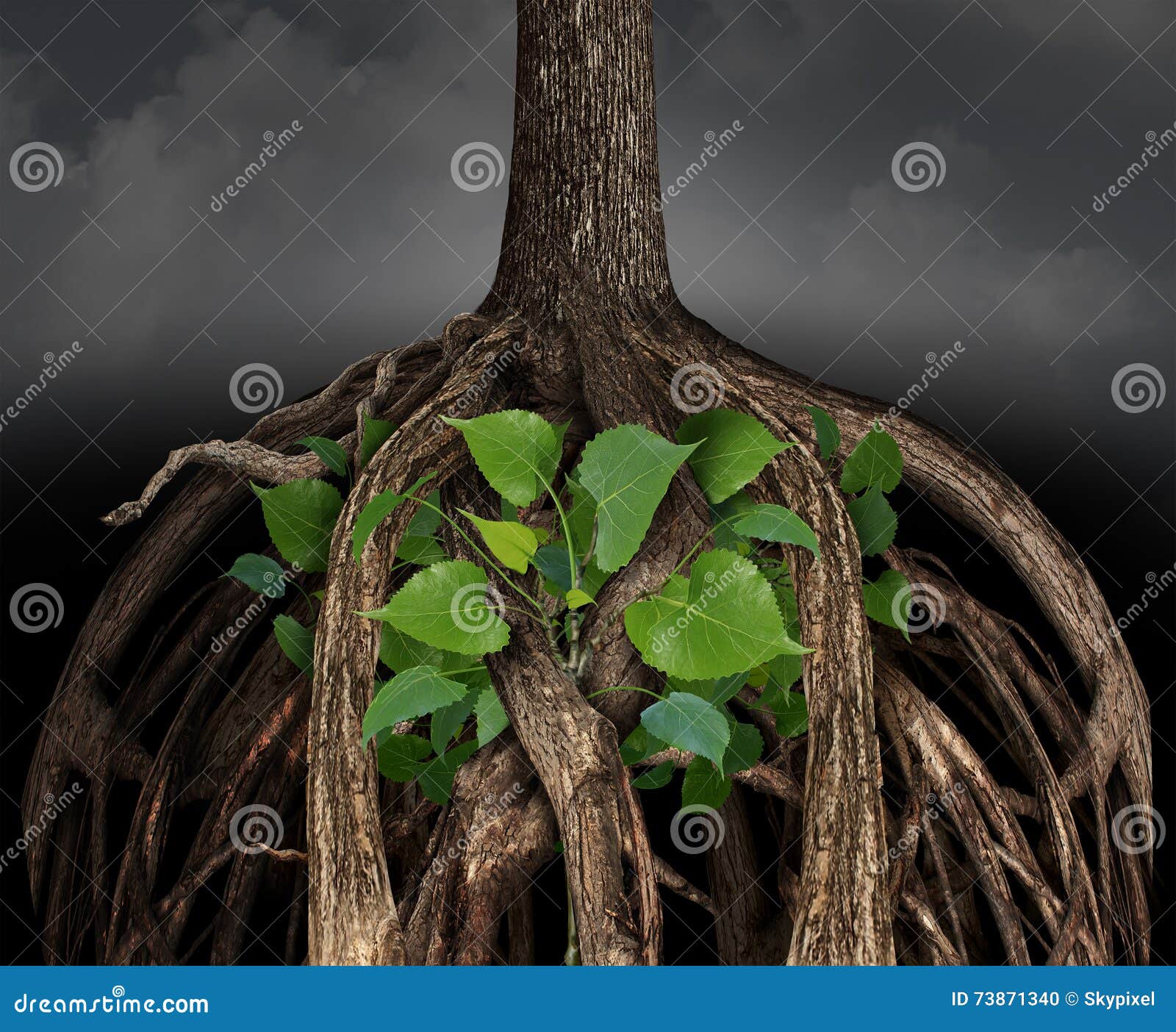 Man With Restricted Growth Or Dwarfism Syndrome Disease. Young Short ...