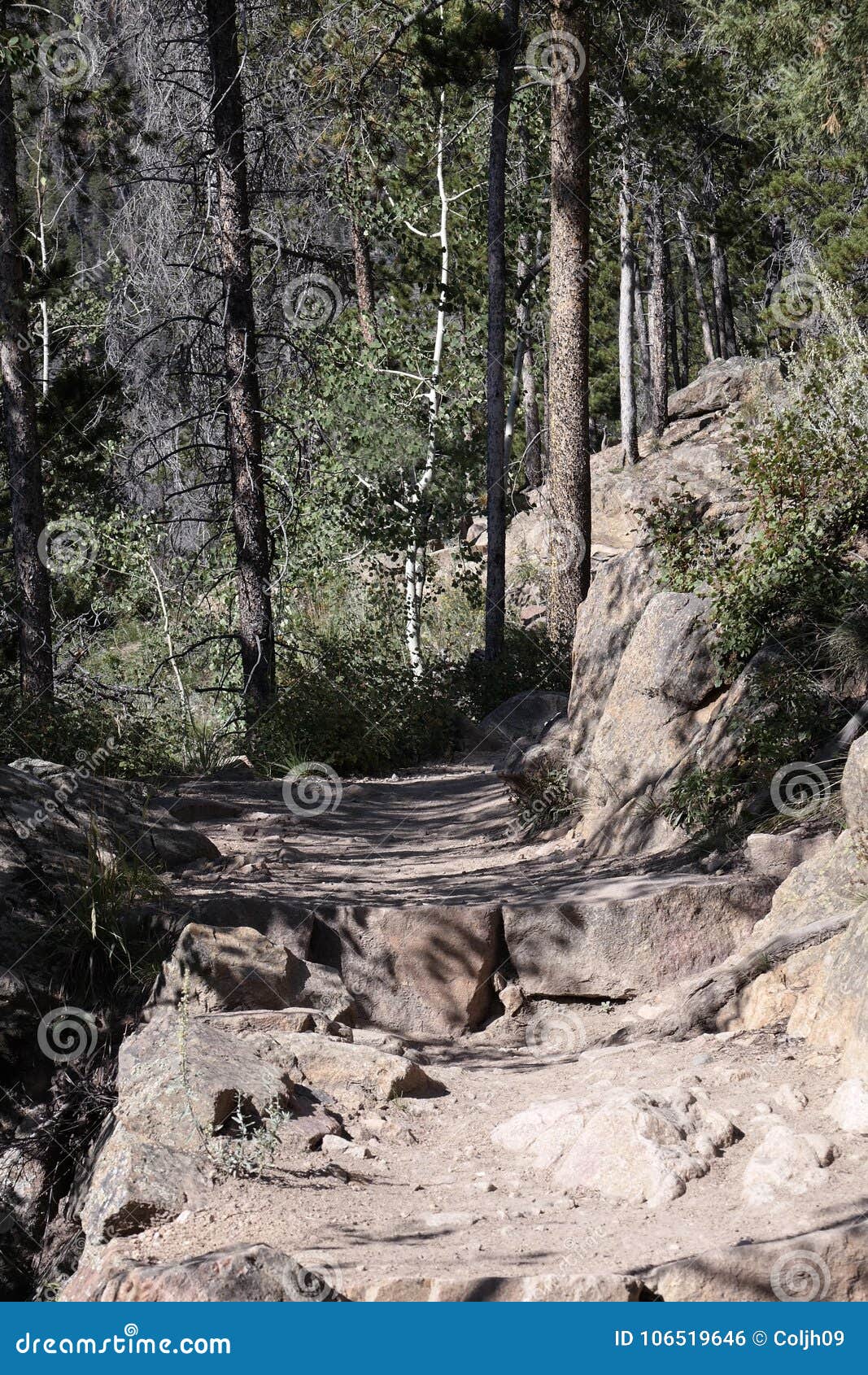 Difficult Hiking Trail stock photo. Image of health - 106519646