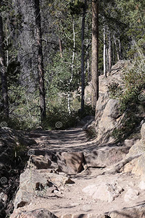 Difficult Hiking Trail stock photo. Image of health - 106519646