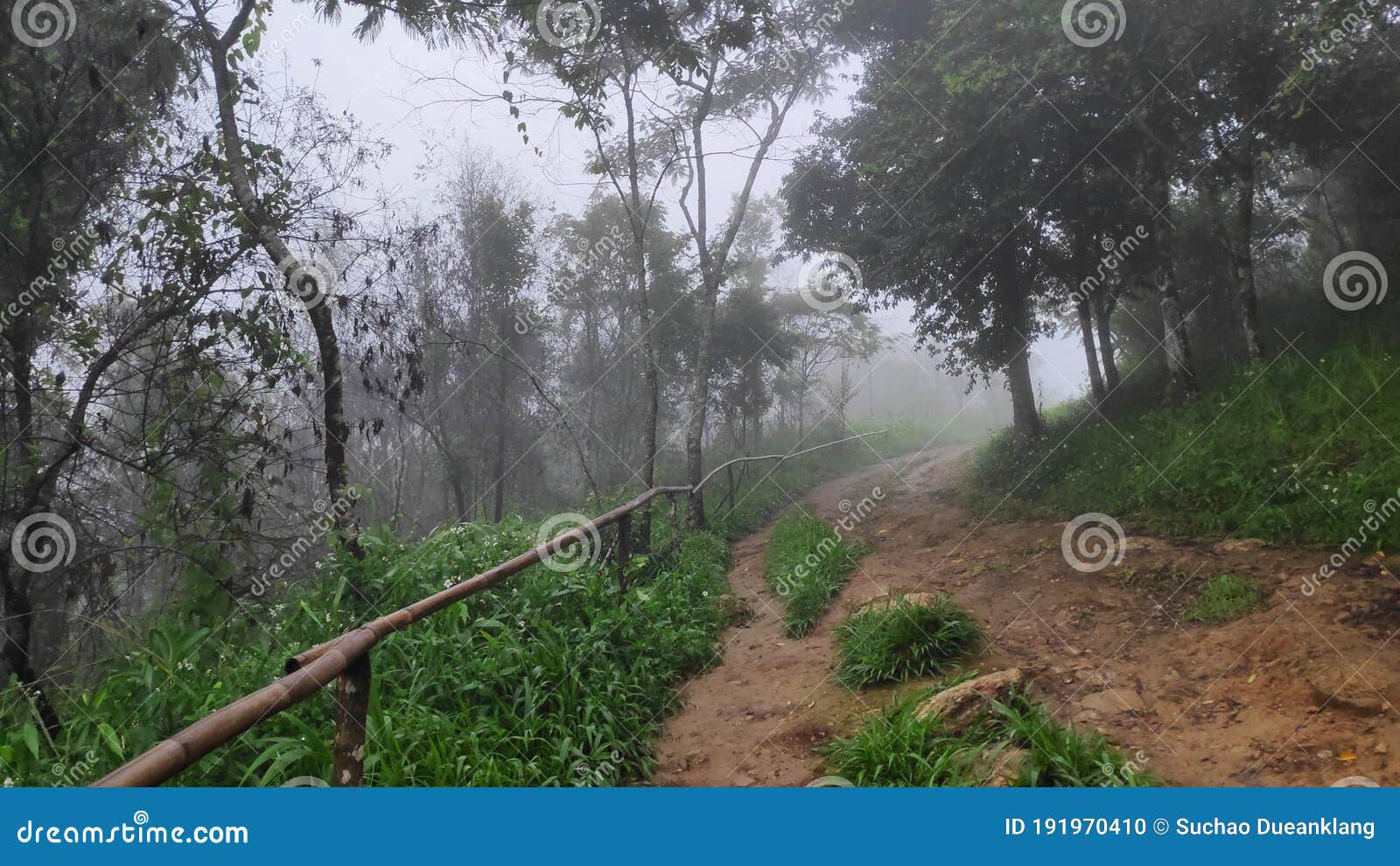 Difficult Paths and Beautiful Nature Stock Photo - Image of beautiful ...