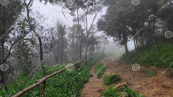 Difficult Paths and Beautiful Nature Stock Photo - Image of beautiful ...