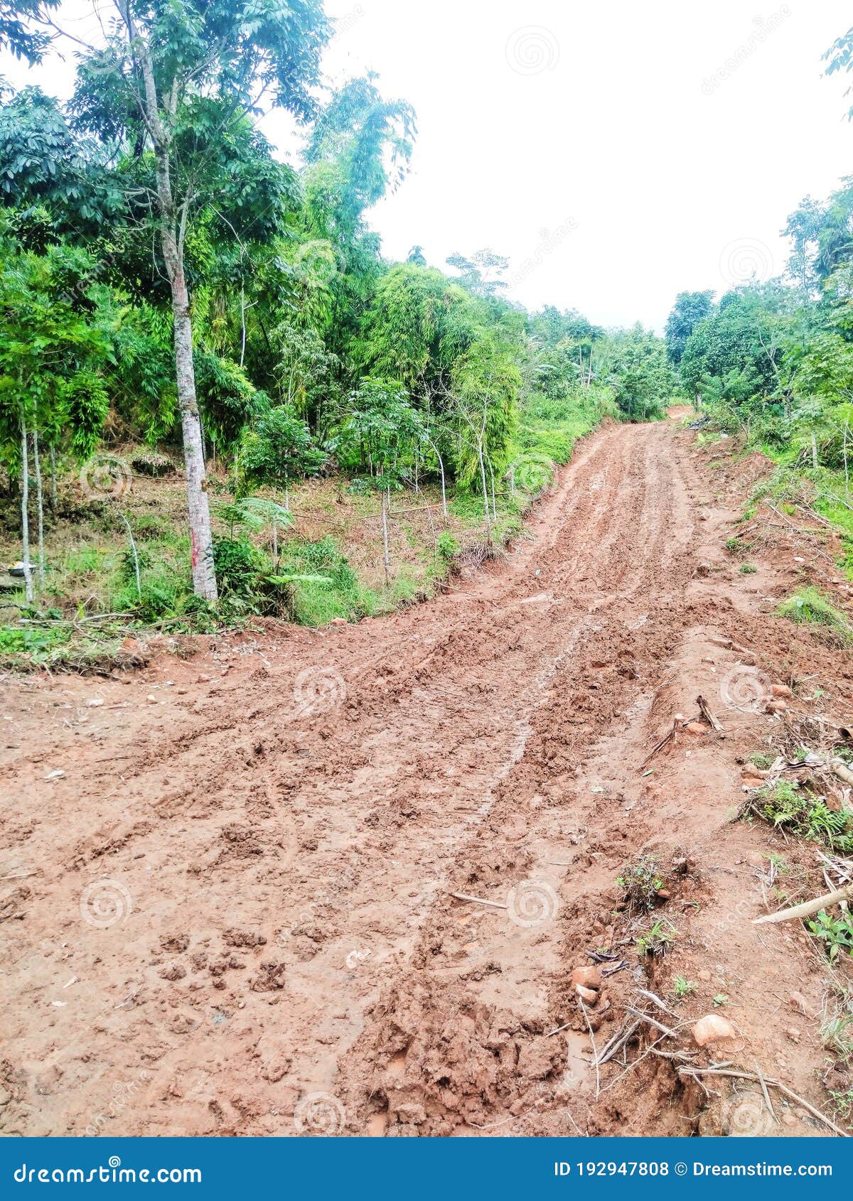 Difficult way to go stock photo. Image of adventure - 192947808