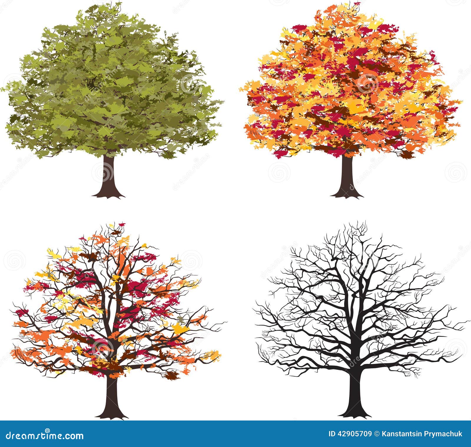 Différentes Saisons D'arbre D'art Vecteur Illustration de Vecteur ...