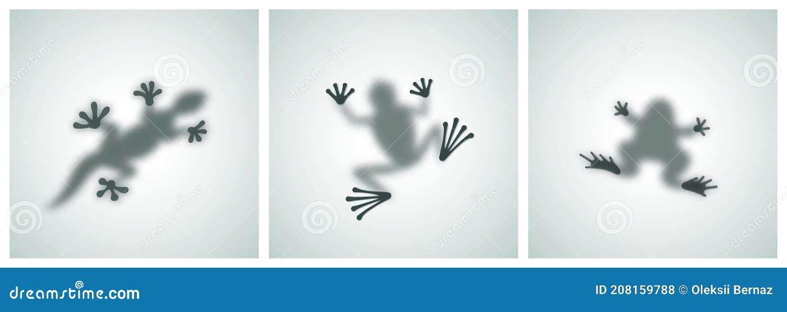 Diffuse Reptiles Silhouettes Shadow Abstract Vector Images Set. Toad ...