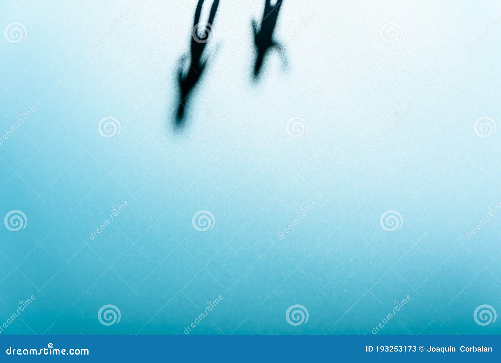 Diffuse Shadows of a Couple of People Projected on a Smooth and Empty ...