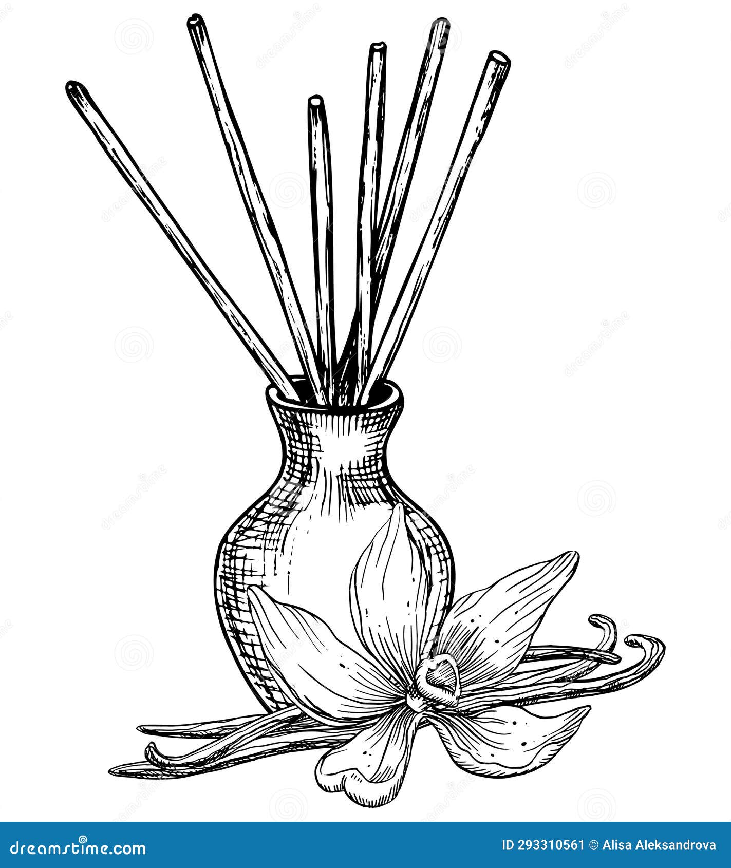 Diffuser with Vanilla Flowers and Sticks. Hand Drawn Vector ...