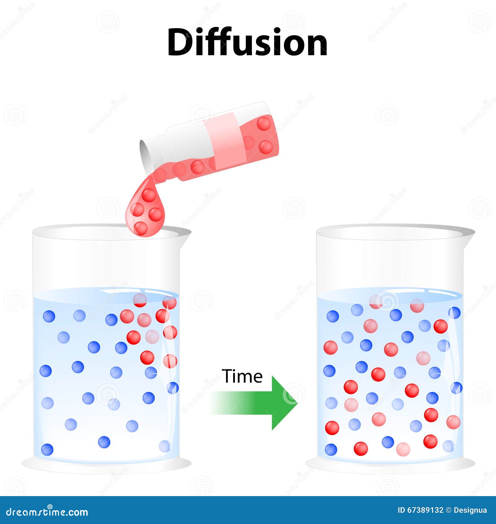 Osmosis vs. Diffusion: What's the Difference? Osmosis vs. Diffusion: What's the Difference?