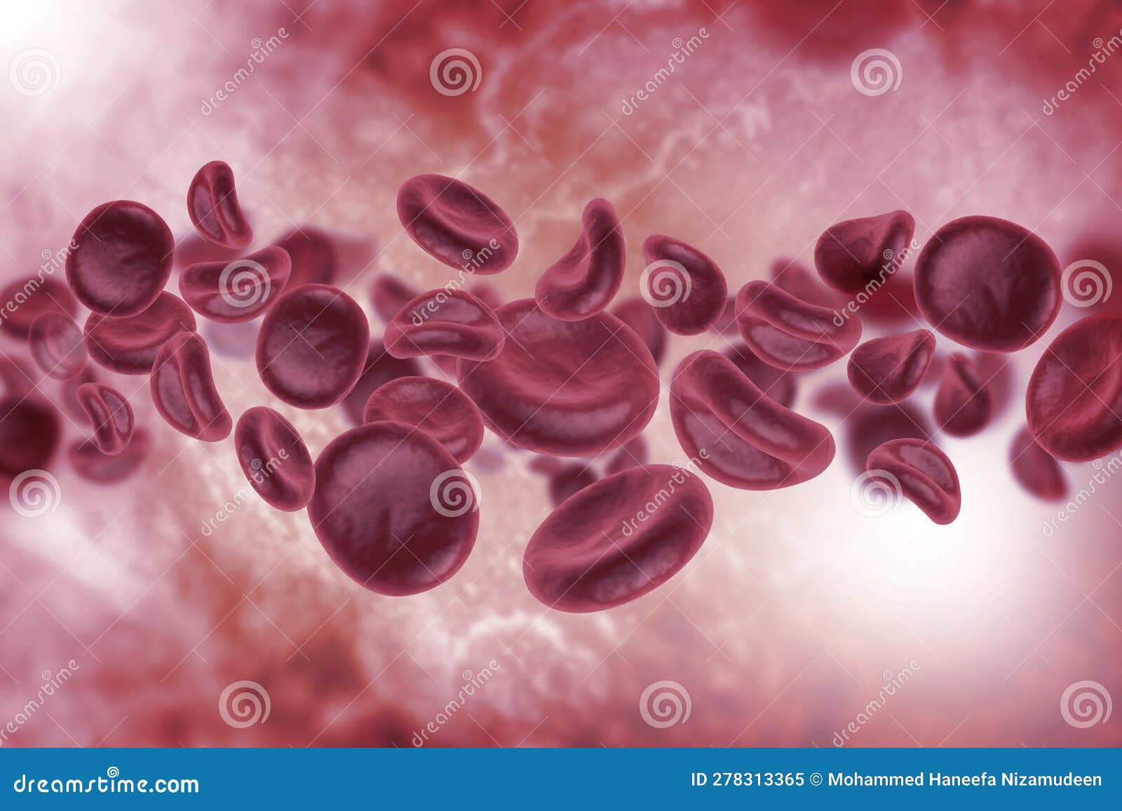 Diffusion Des Cellules Sanguines Sur Le Terrain Scientifique ...