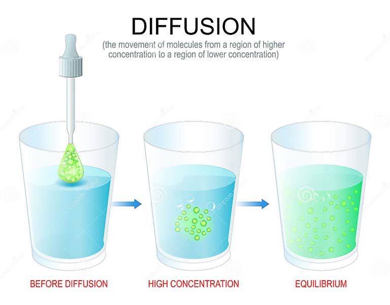 Diffusion. Experiment with Water in Glasses, Pipette with Dye and ...
