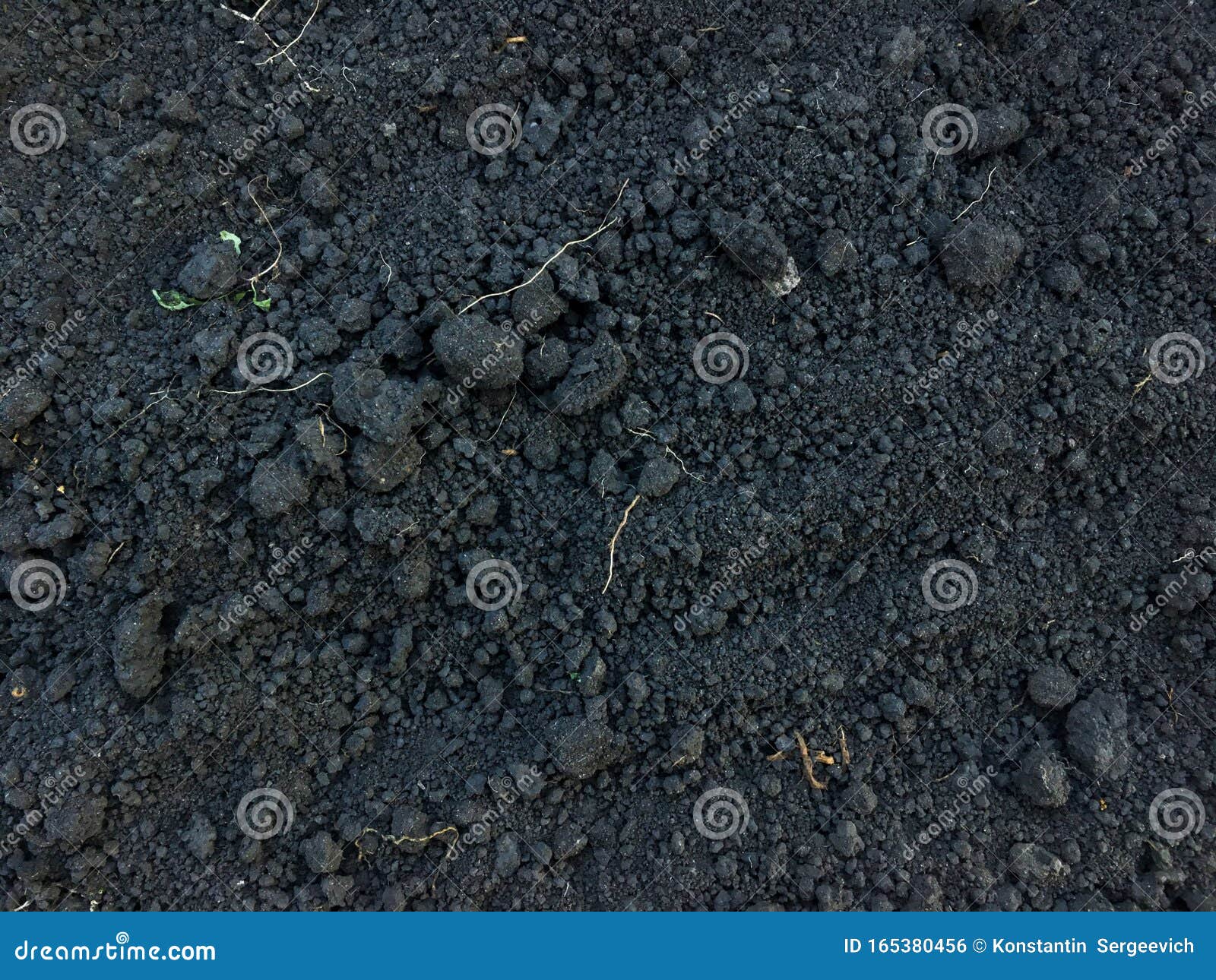 Dig the Earth Planting Earth Pattern Stock Photo - Image of arid, stone ...