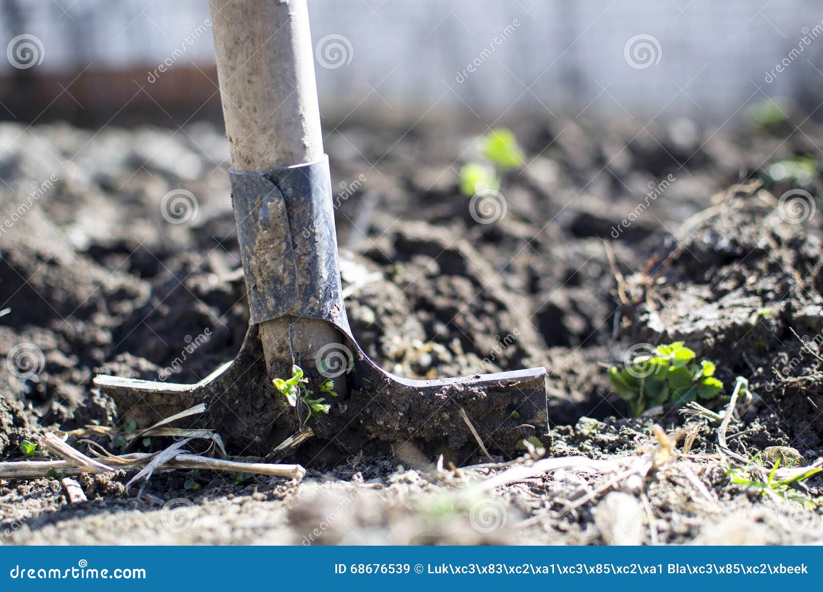 Dig garden stock image. Image of dirt, gardener, green - 68676539