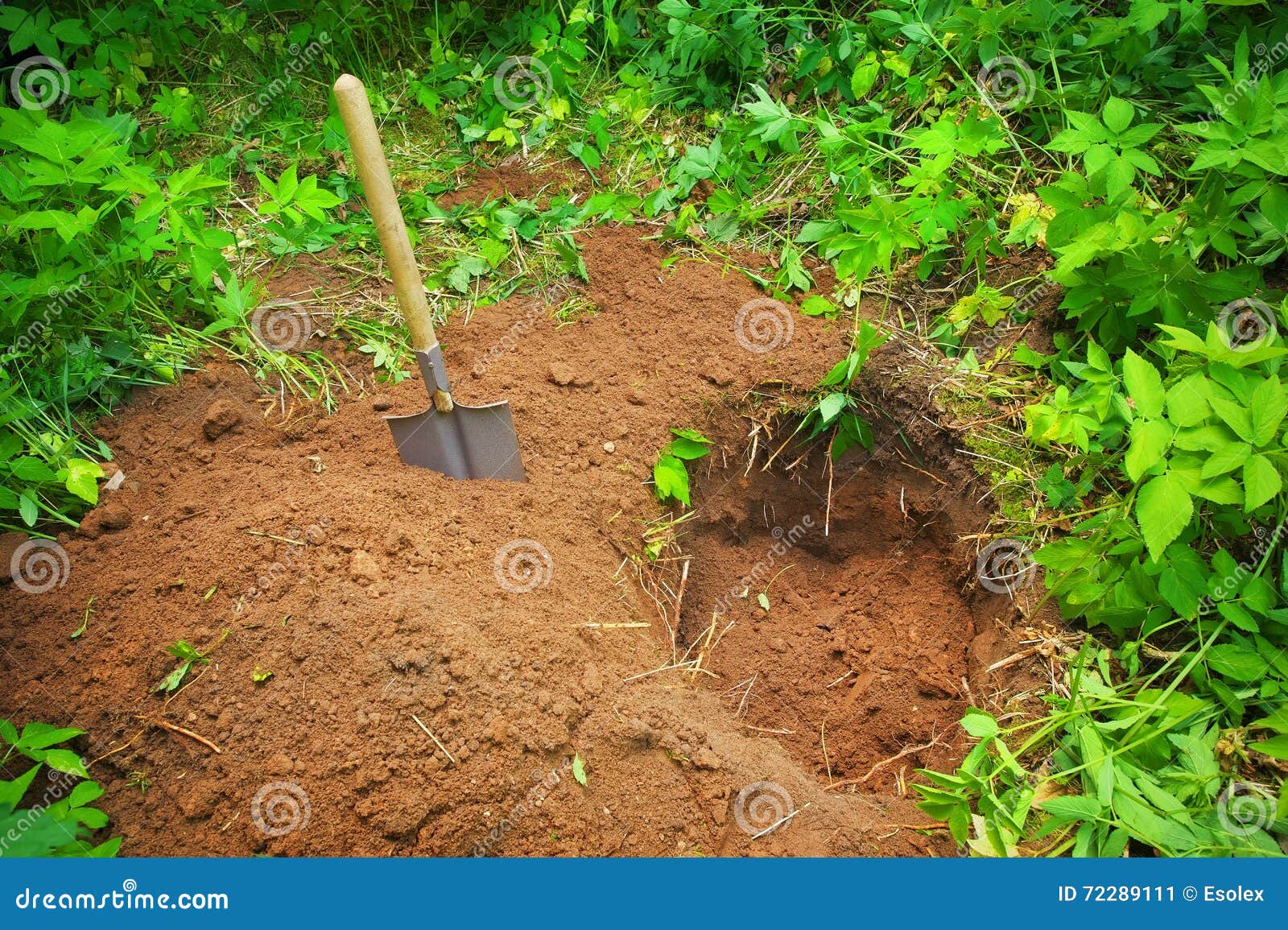 Dig a hole in the ground. stock image. Image of backyard - 72289111