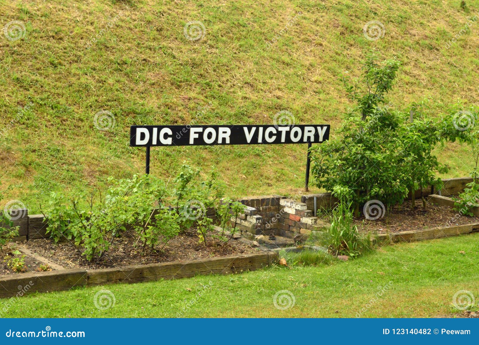 Dig for Victory Garden photo stock. Image du visiteur - 123140482